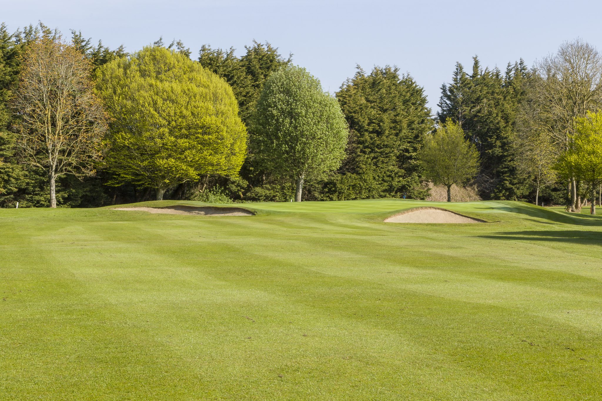 1st Hole – Forrest Little